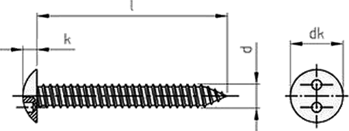 2-Hole Truss Head Self Tapping Security Screws | Fastenright Ltd