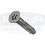 5 Lobe Pin TX Security Screws | Fastenright Ltd
