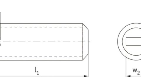 Plastic Slotted Set Screws Flat Point (DIN 551) | Fastenright Ltd