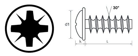Pozi Flange Head Thread Forming Screw for Plastic | Fastenright Ltd