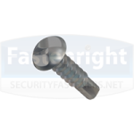 One Way Security Screws | Fastenright