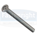 Pin Hex Security Screws and Fasteners | Fastenright Ltd