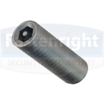 Pin Hex Security Screws and Fasteners | Fastenright Ltd