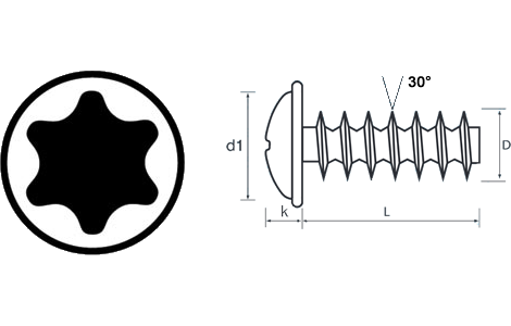 TX Flange Head Thread Forming Screw for Plastic | Fastenright Ltd